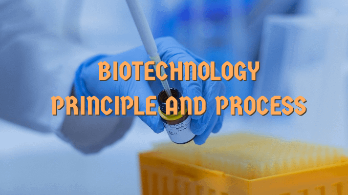 BIOTECHNOLOGY PRINCIPLES PROCESSES CHAPTER11